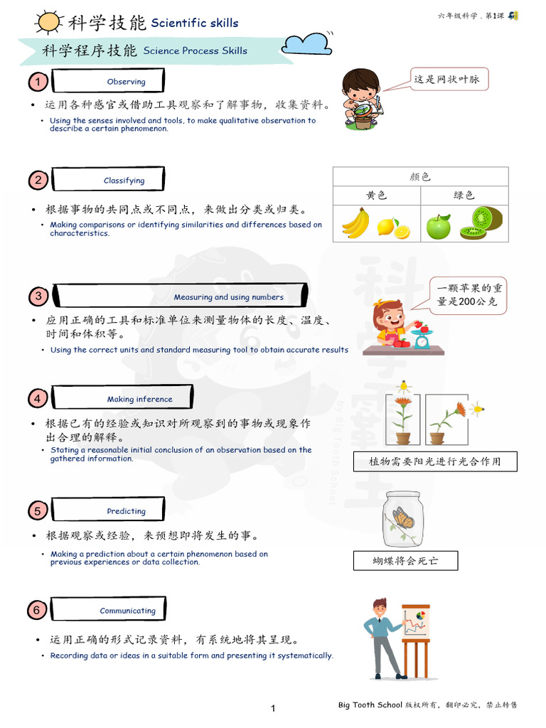 SC6 Chapter1 Scientific Skill 科学技能 Note 2025 | PDF