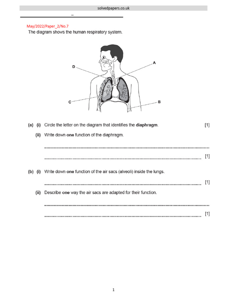 2022 17 Respiration and Breathing Checkpoint Sec 1 Biology | PDF