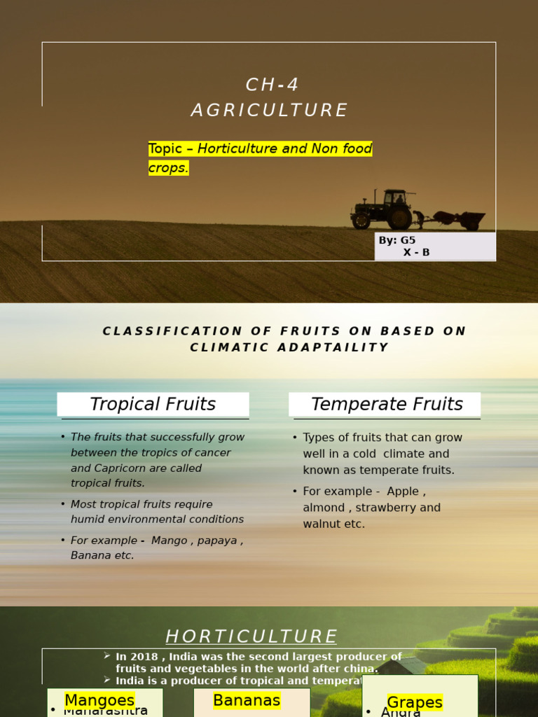 Presentation 3 Agriculture Class 8th | PDF | Silk | Jute