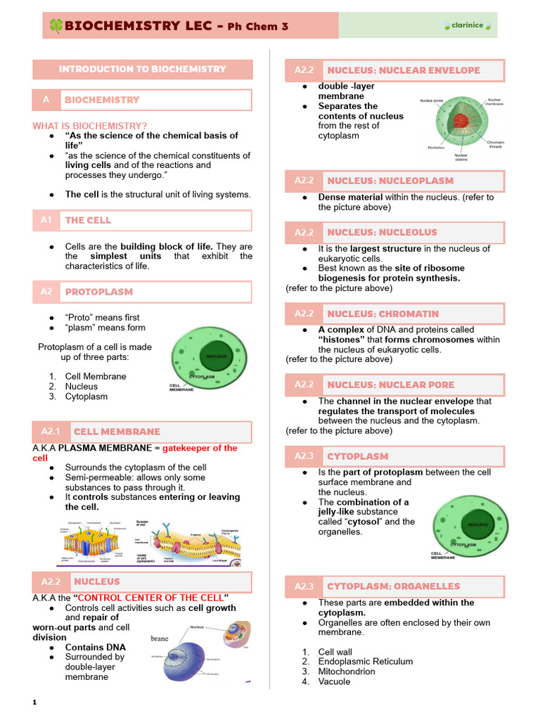 Ph CHEM 3 LEC-1 | PDF | Carbohydrates | Cell Nucleus
