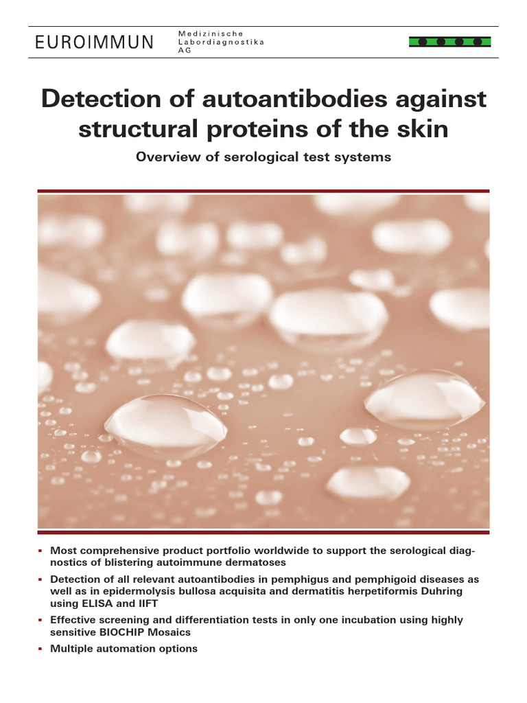 Autoantibodies in Blistering Dermatoses | PDF | Epidermis | Skin