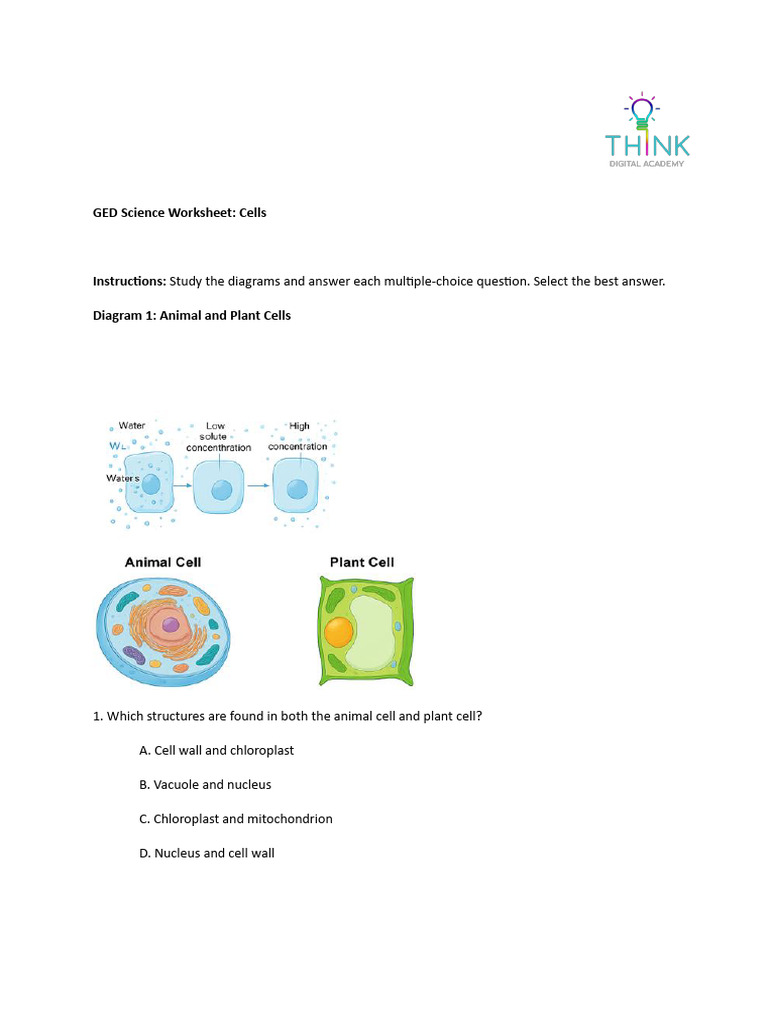 GED Science Worksheet: Cells | PDF | Cell (Biology) | Cytoplasm