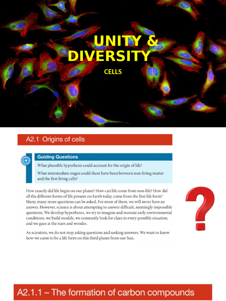 Origin Cells | PDF
