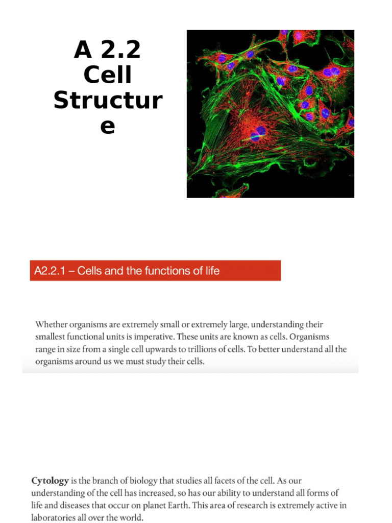 Cell Structure | PDF