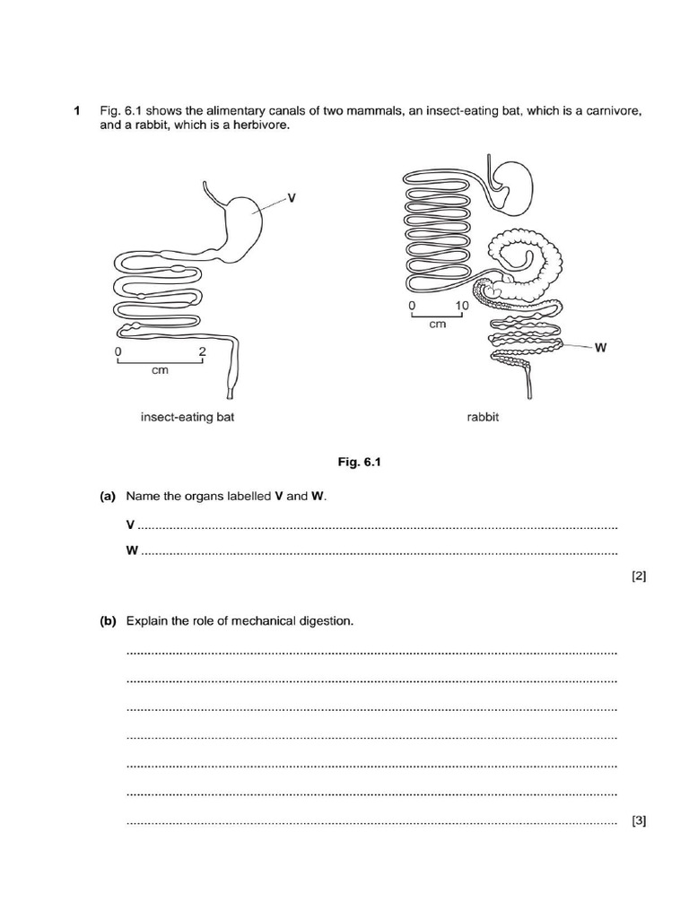 Human Nutrition (Q2) | PDF