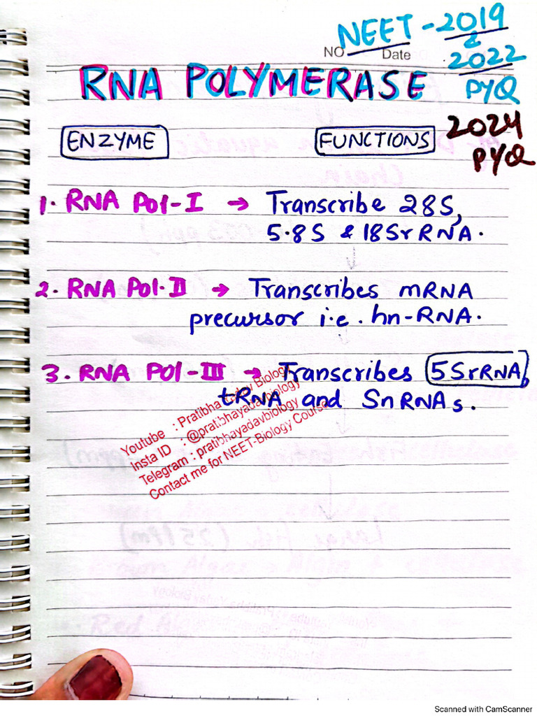 Important Notes - Neet 2025 | PDF
