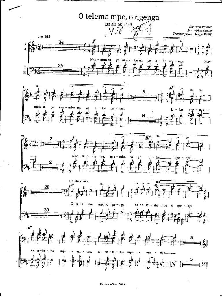 O Telema Scan | PDF