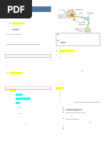Class 5-Science Notes-The Nervous System | PDF | Brain | Nerve