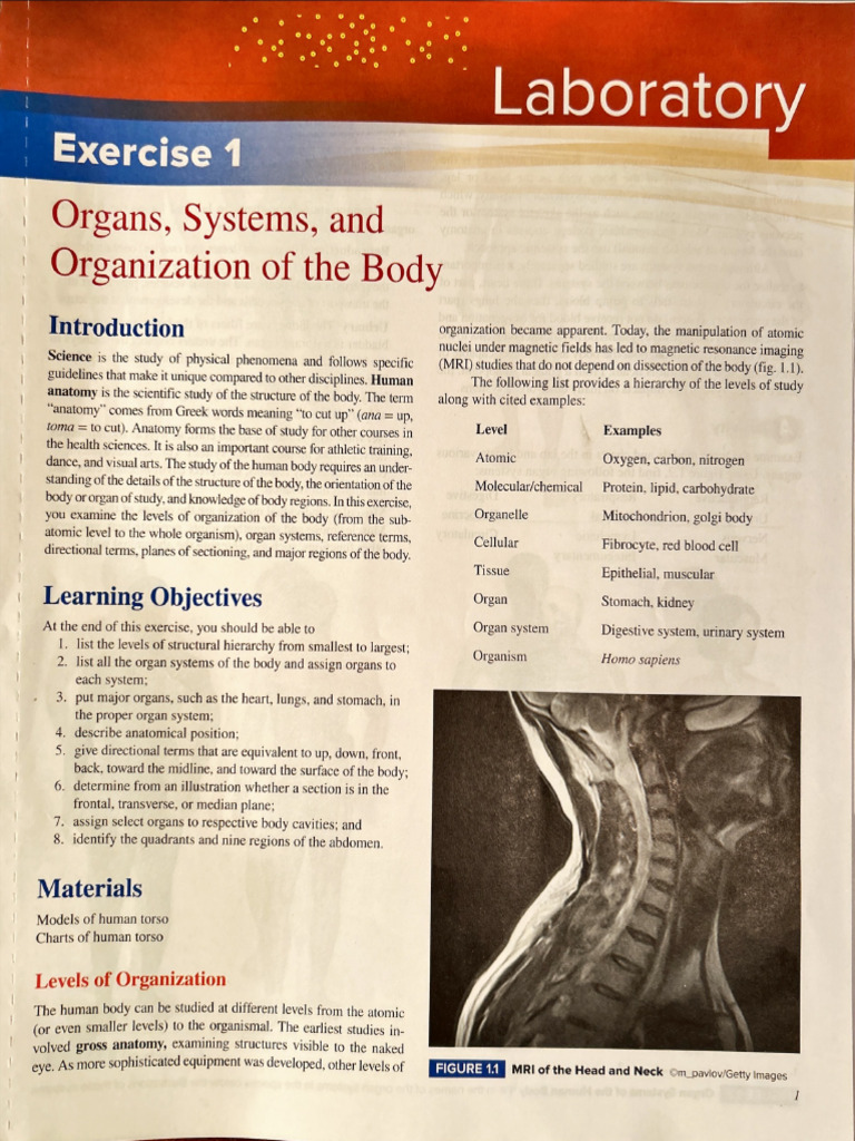 Saladin Human Anatomy Lab Manual - Exercise 1 | PDF