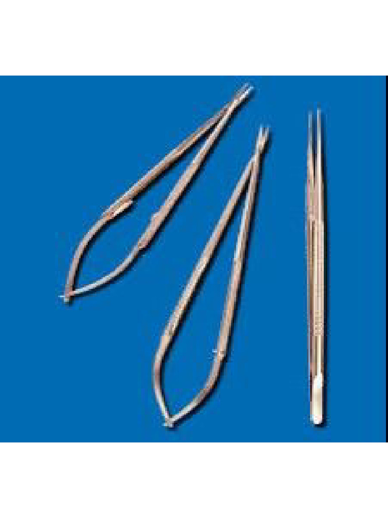 Heart Instruments 2 | PDF