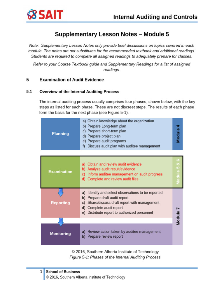 Internal Auditing Process Overview | PDF | Audit | Internal Audit