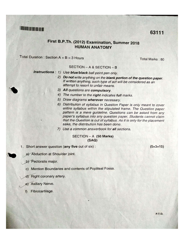 Anatomy All Papers Muhs | PDF