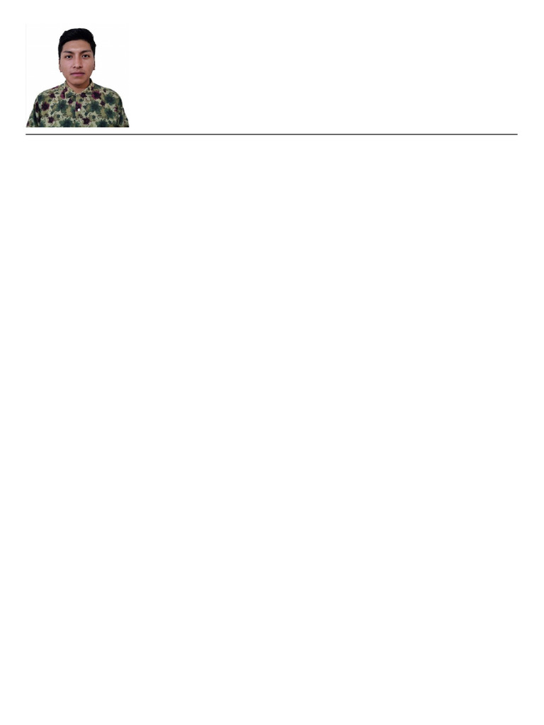 CV Hugo Tacoaman | PDF