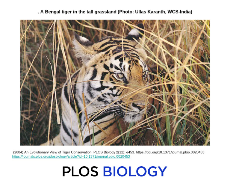 Journal Pbio 0020453 g001 | PDF