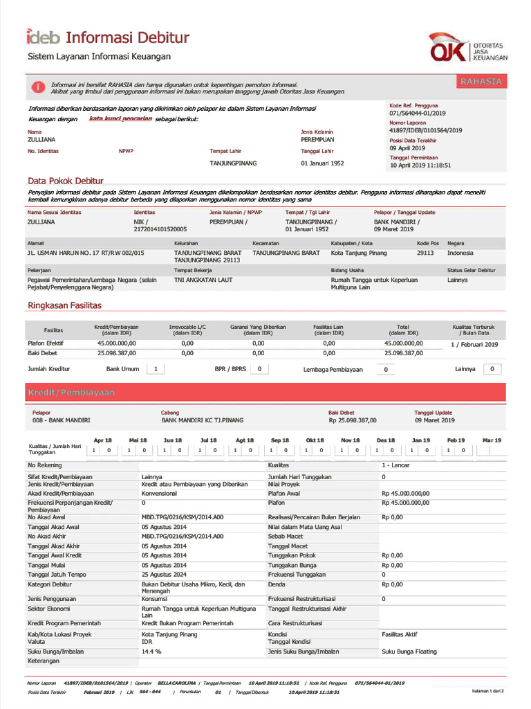 PDF Contoh Hasil Slik Ojk Compress (1) | PDF