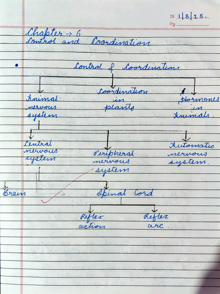 Bio-Control & Coordination | PDF