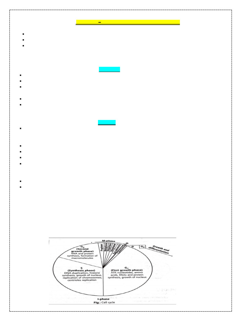 Chapter 10 - Cell Division Notes | PDF | Meiosis | Mitosis