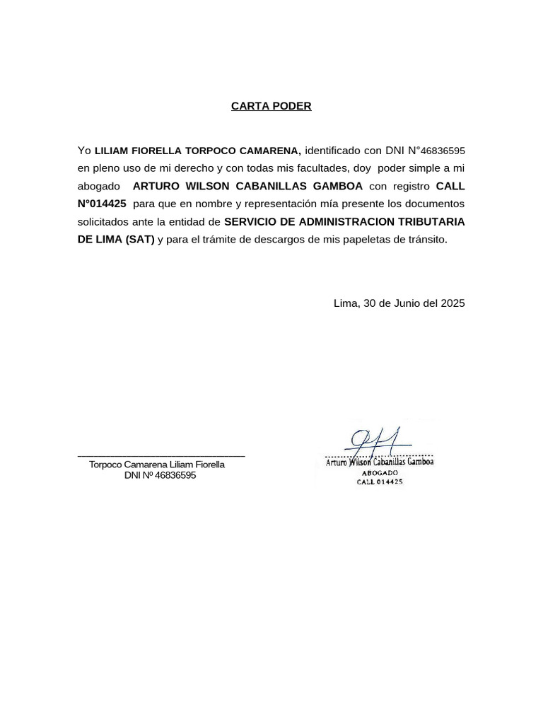 Carta Poder para Trámites SAT | PDF