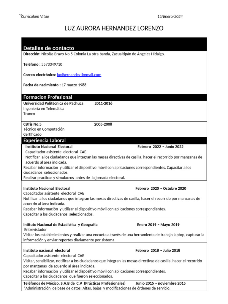 CV Luz 2024 | PDF | Informática | Tecnología de información y comunicaciones