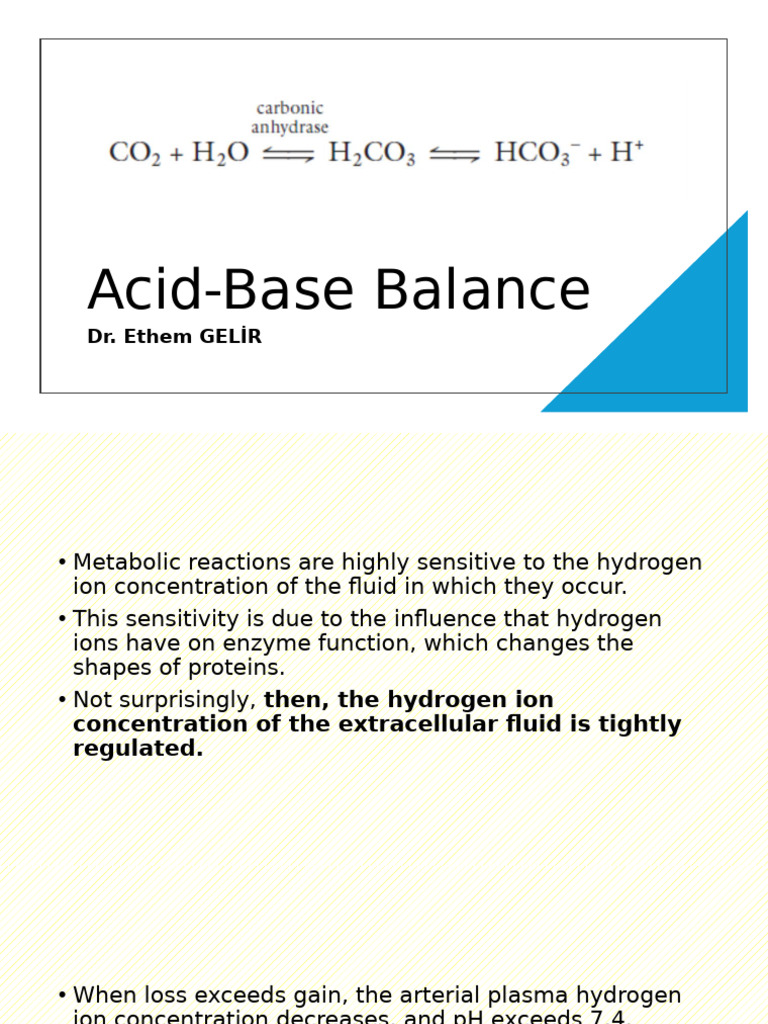 1 Acid Base Balance 2h | PDF | Buffer Solution | Kidney