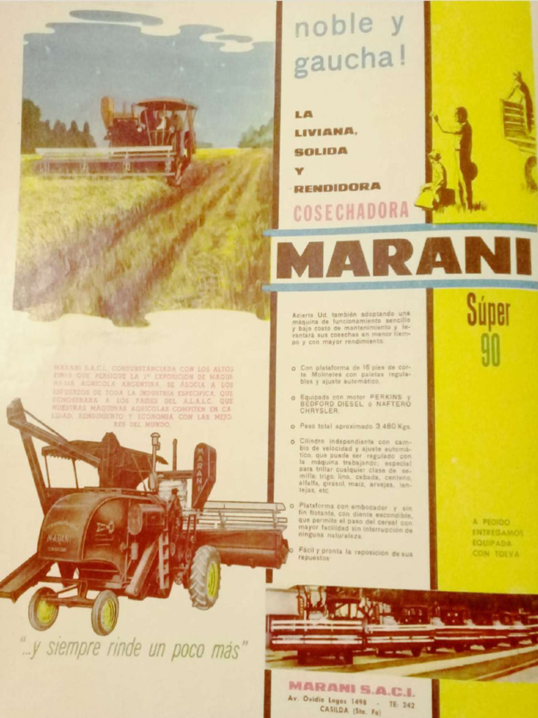 1 Marani DFG | PDF