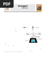 Comparativa: Ángulos de Meary y Costa-Bartani | PDF | Pie | Sistema ...
