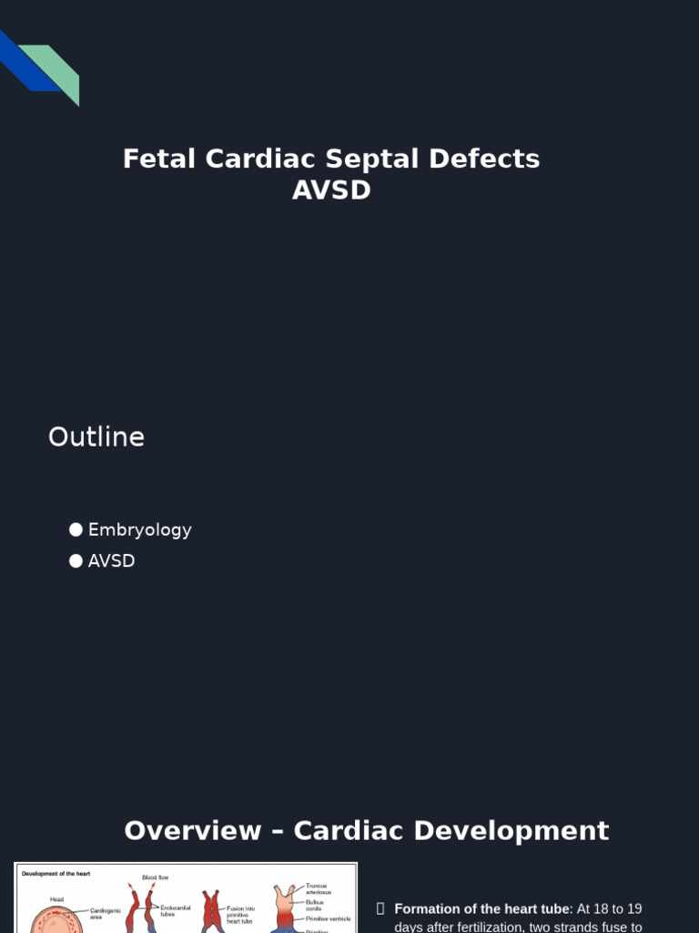 Fetal Echo Avsd | PDF | Heart Valve | Ventricle (Heart)