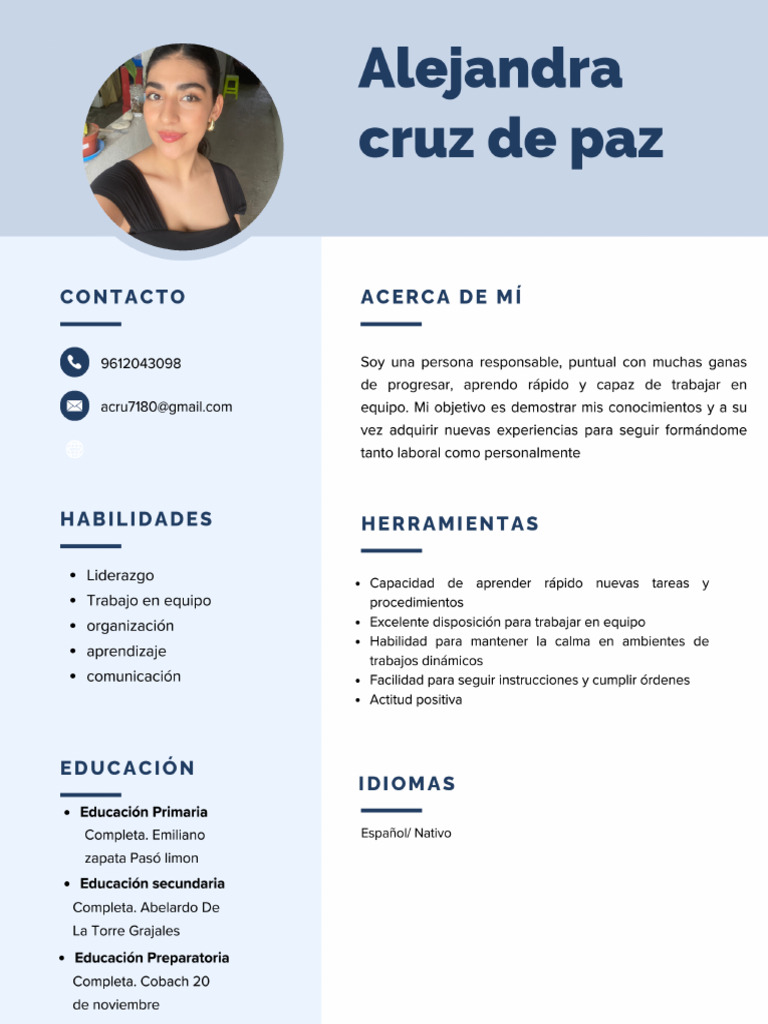 Currículum Vitae CV | PDF