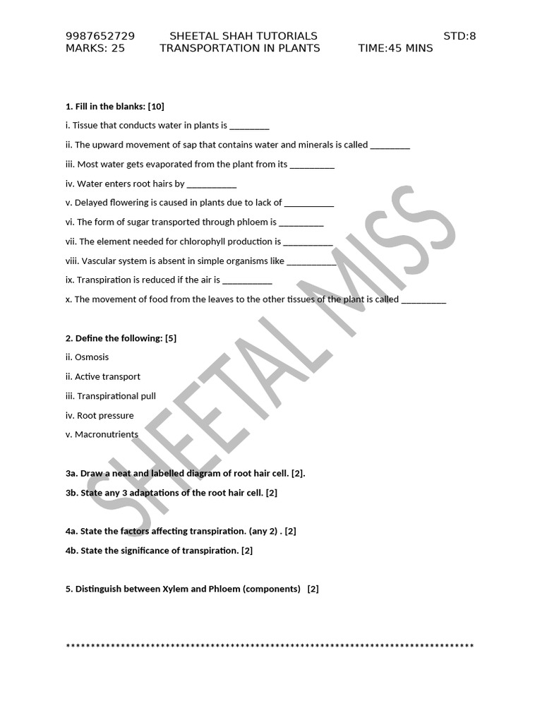 Transportation in Plants Test 2 | PDF