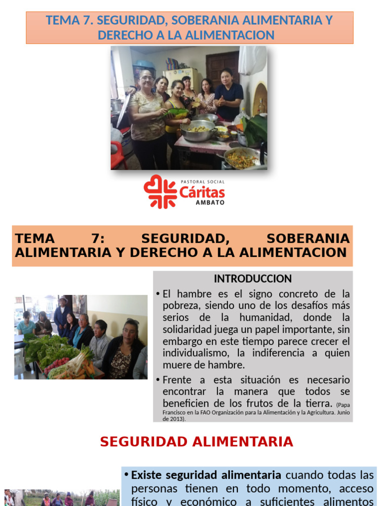 Tema 7 Seguridad y Soberania Alimentaria y Derecho A La Alimentacion | PDF | Alimentos ...