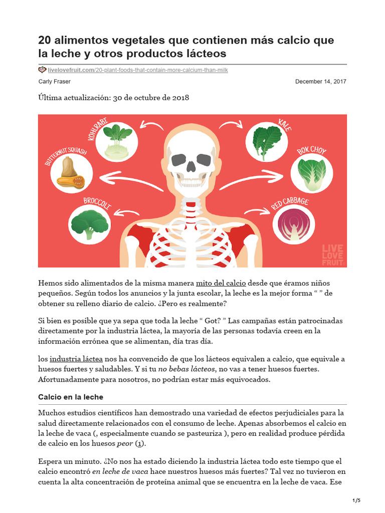 20 Alimentos Vegetales Que Contienen Más Calcio Que La Leche y Otros ...
