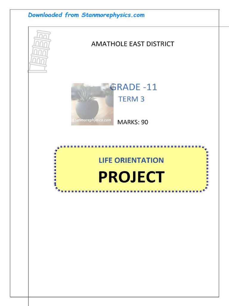 EC AE Life Orientation Grade 11 PROJECT Term 3 2024 and Memo | PDF