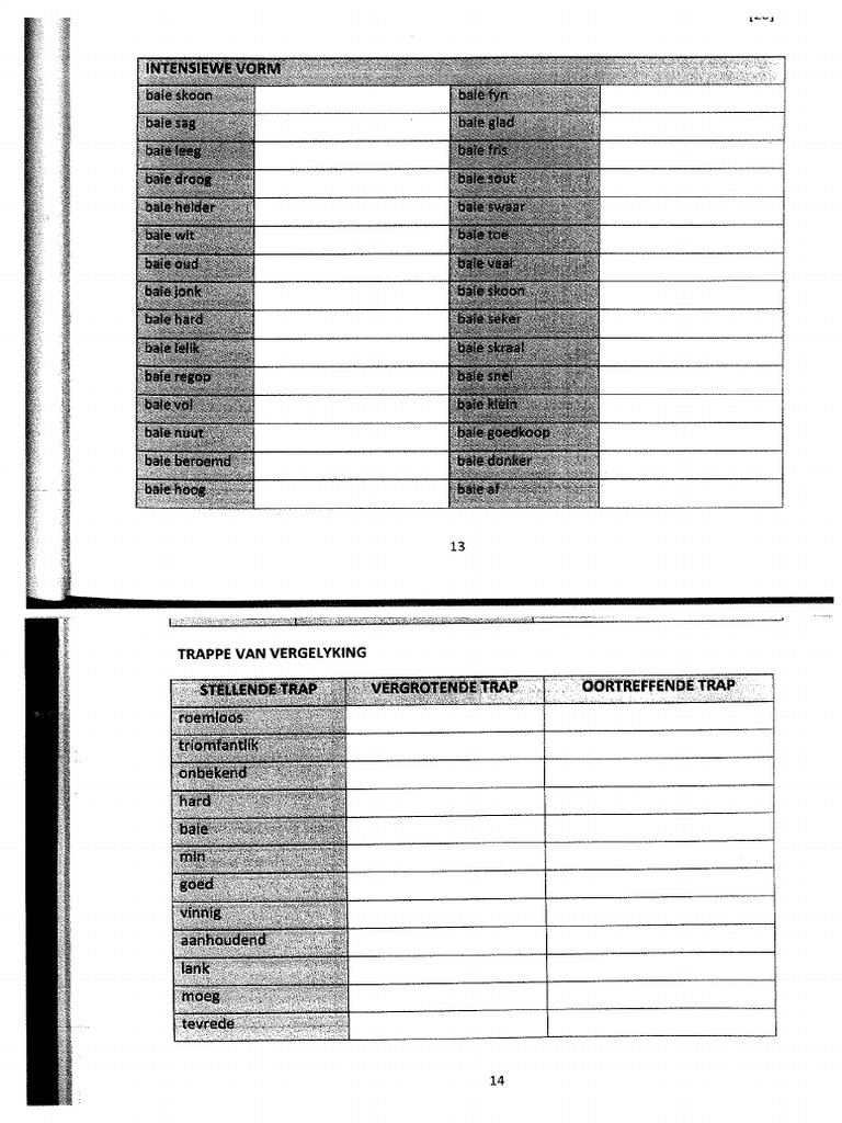 Intensiewe Vorm en Trappe Van Vergelyking Aktiwiteit | PDF