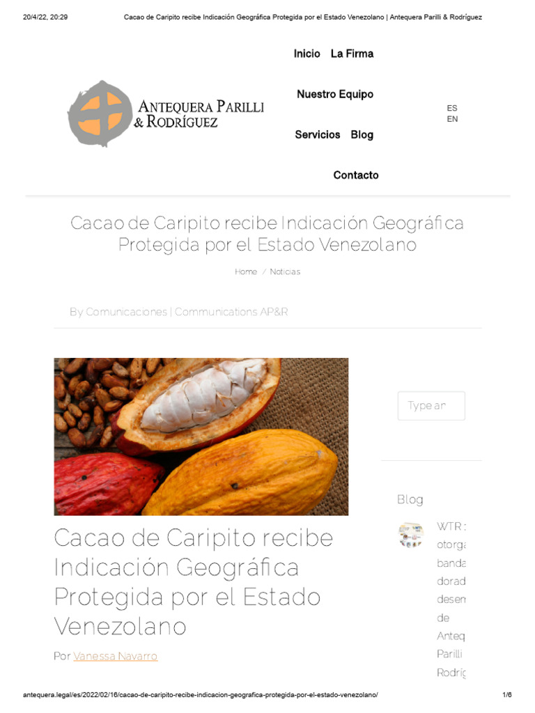 Cacao de Caripito Recibe Indicación Geográfica Protegida Por El Estado ...