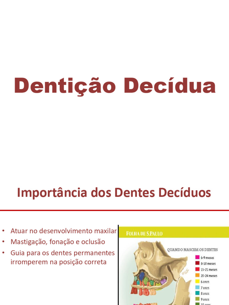 Aula Deciduos e Oclusao | PDF | Dente humano | Dente
