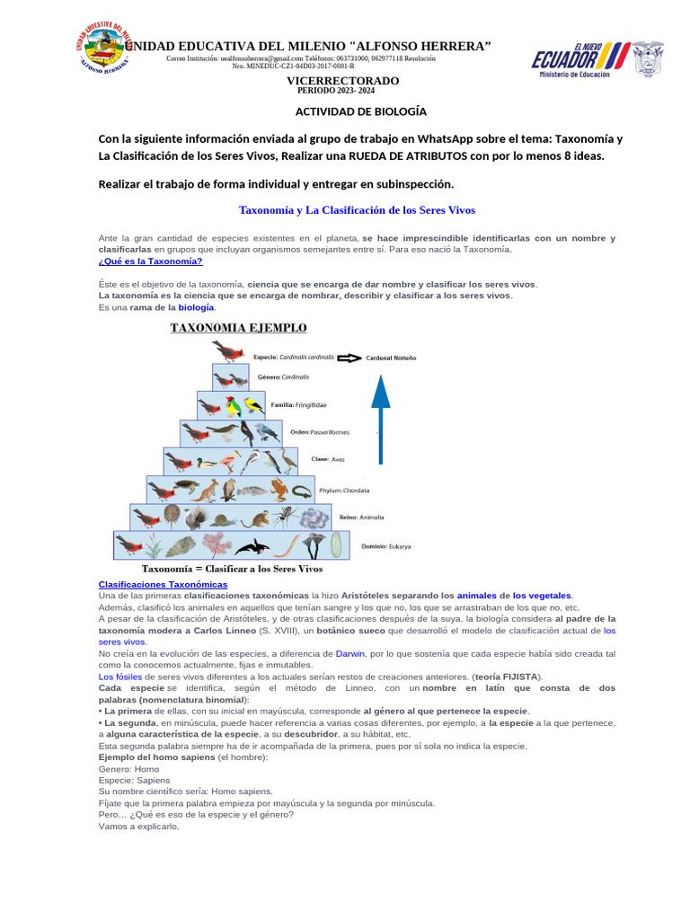 Actividad de Biología Primero Pa | PDF | Taxonomía (biología) | Especies