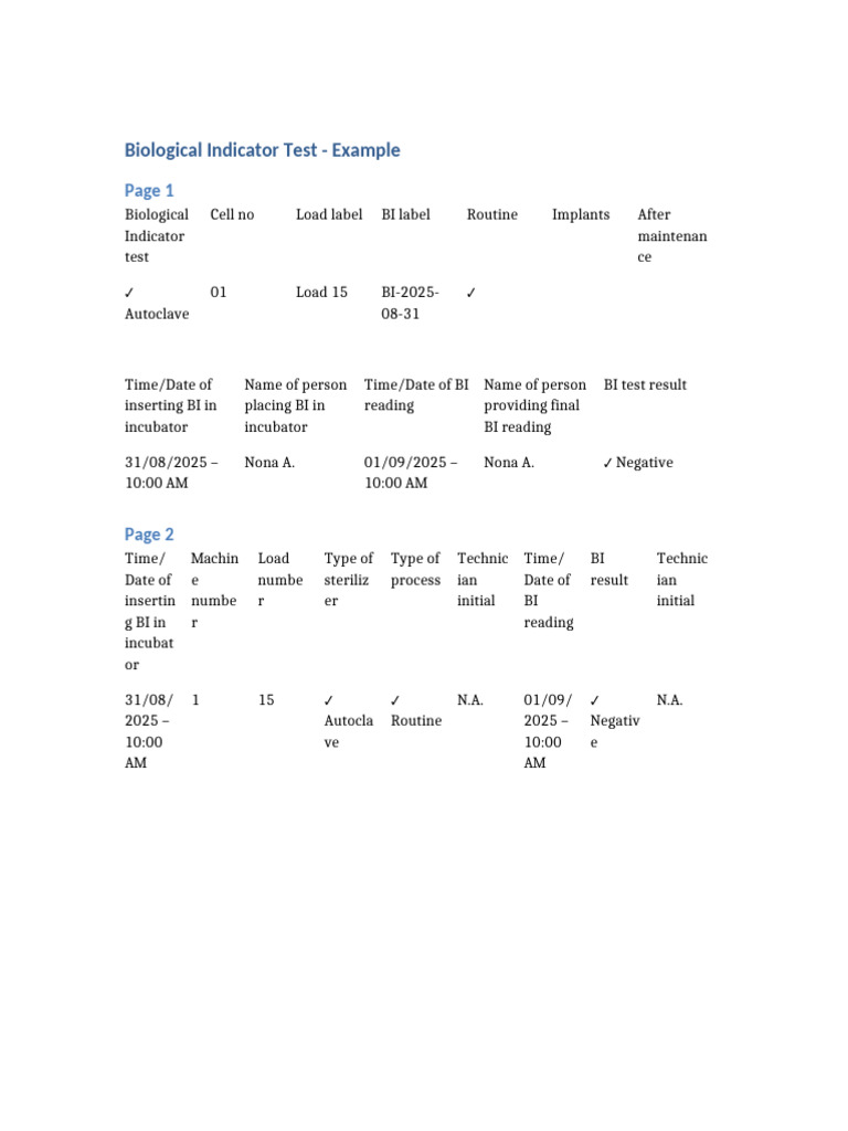 BI Test Example | PDF