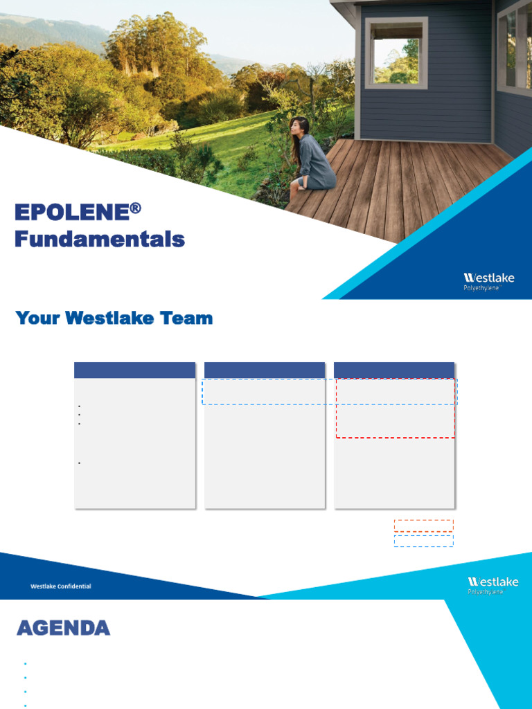 Epoloene Fundamentals 2023.07 | PDF | Polyethylene | Wax