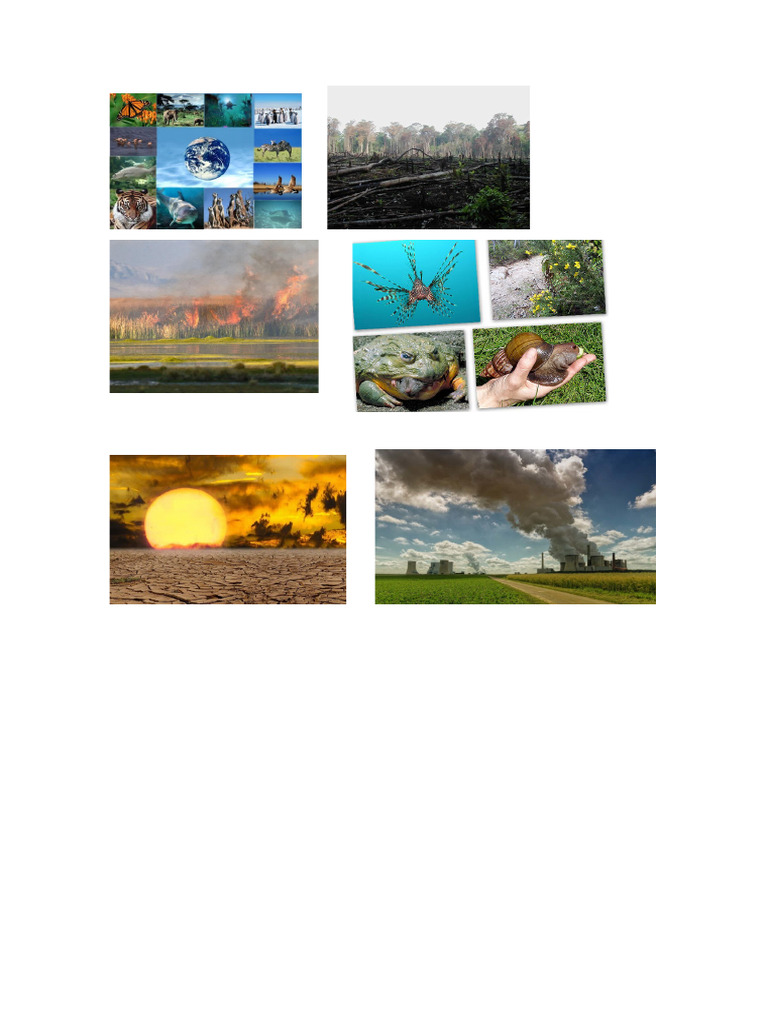 Bio Divers I Dad | PDF