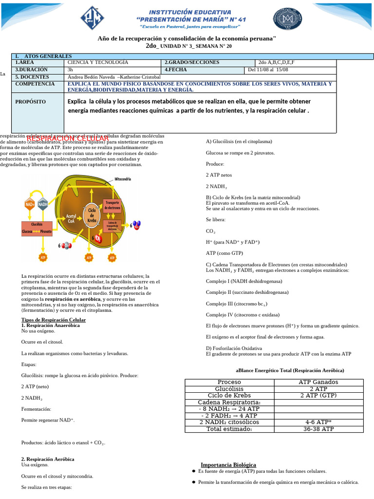 Tipos y Proceso de Respiración Celular | PDF | Respiración celular ...