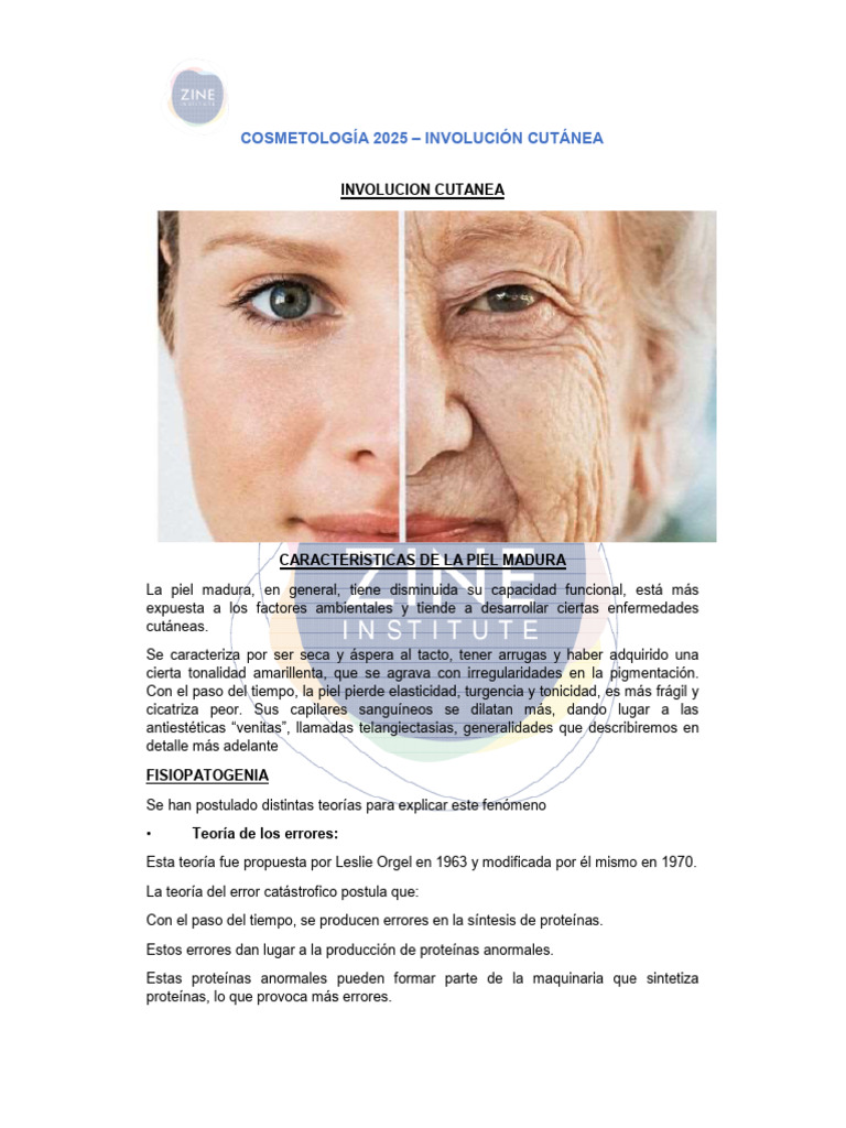 Características de la Piel Madura | PDF | Piel | Envejecimiento