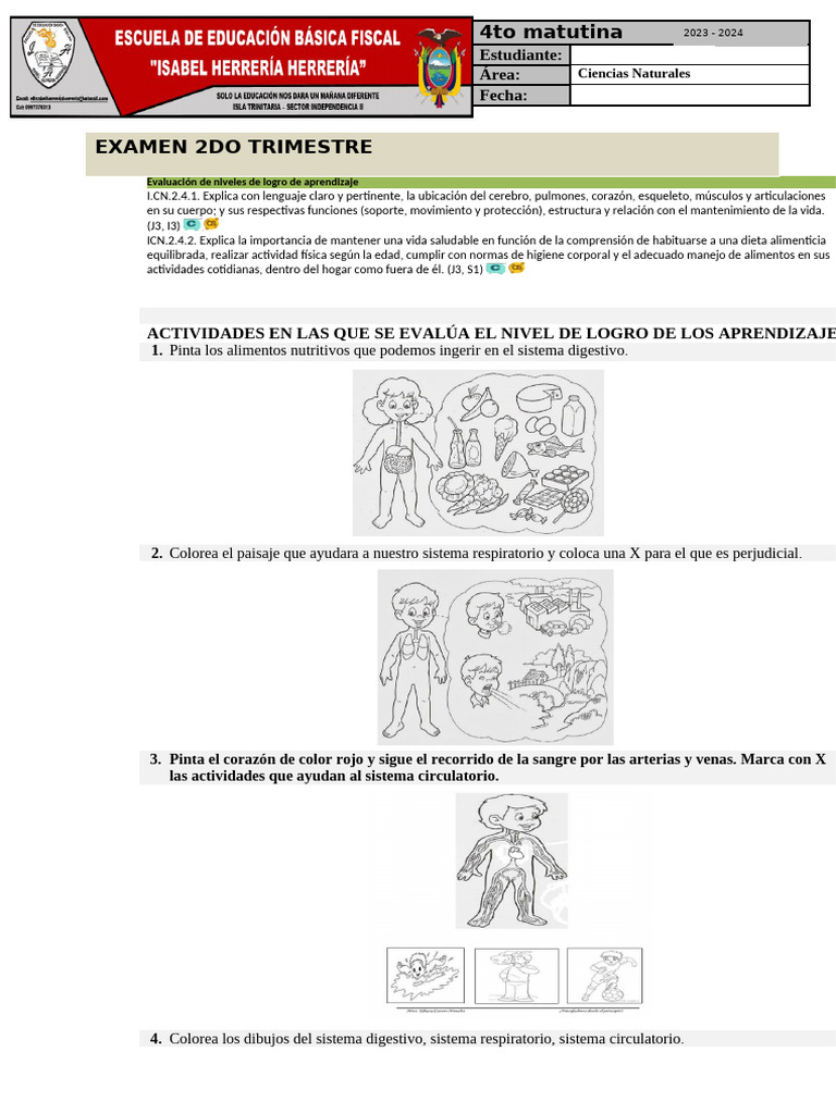 4to Nee CCNN Examen 2do Trimestre 2023-2024 | PDF