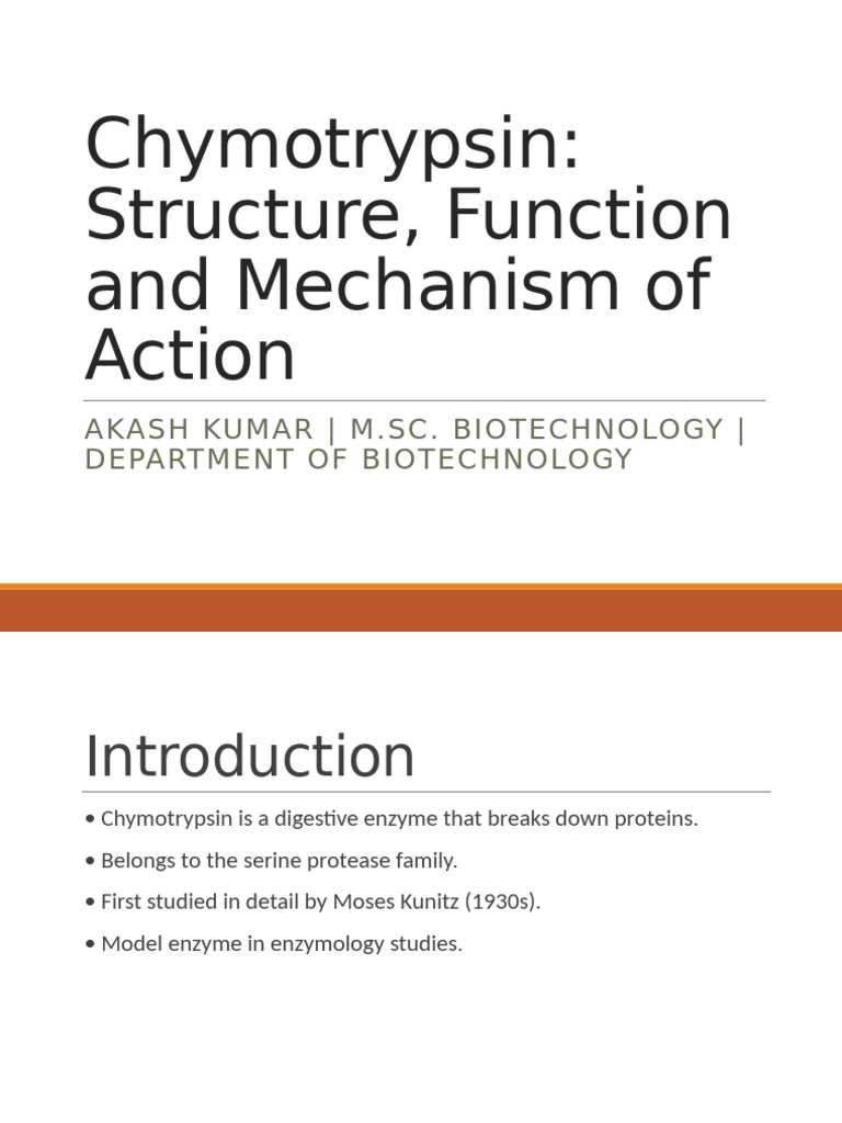 Chymotrypsin: Structure and Function | PDF