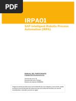 Manual SAP HCM: Guía de Usuario y Soporte | PDF | Bancos