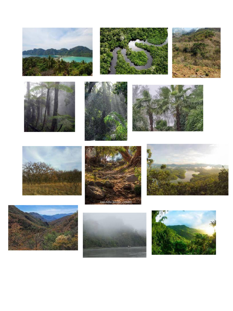 Tropical | PDF