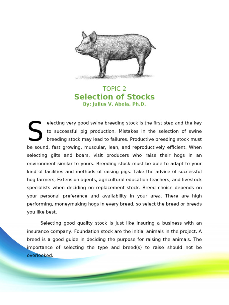 Principles of Swine Stock Selection | PDF | Pig | Wild Boar