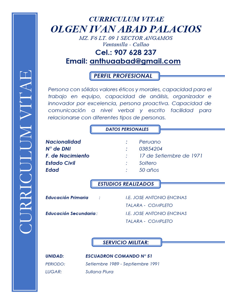 CV Olgen Ivan Abad Palacios | PDF
