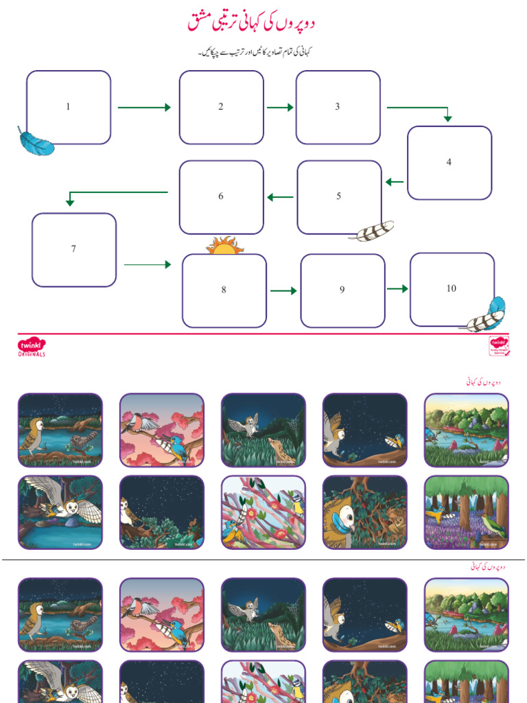 Urdu A Tale of Two Feathers Story Sequencing Activity Ver 2 | PDF