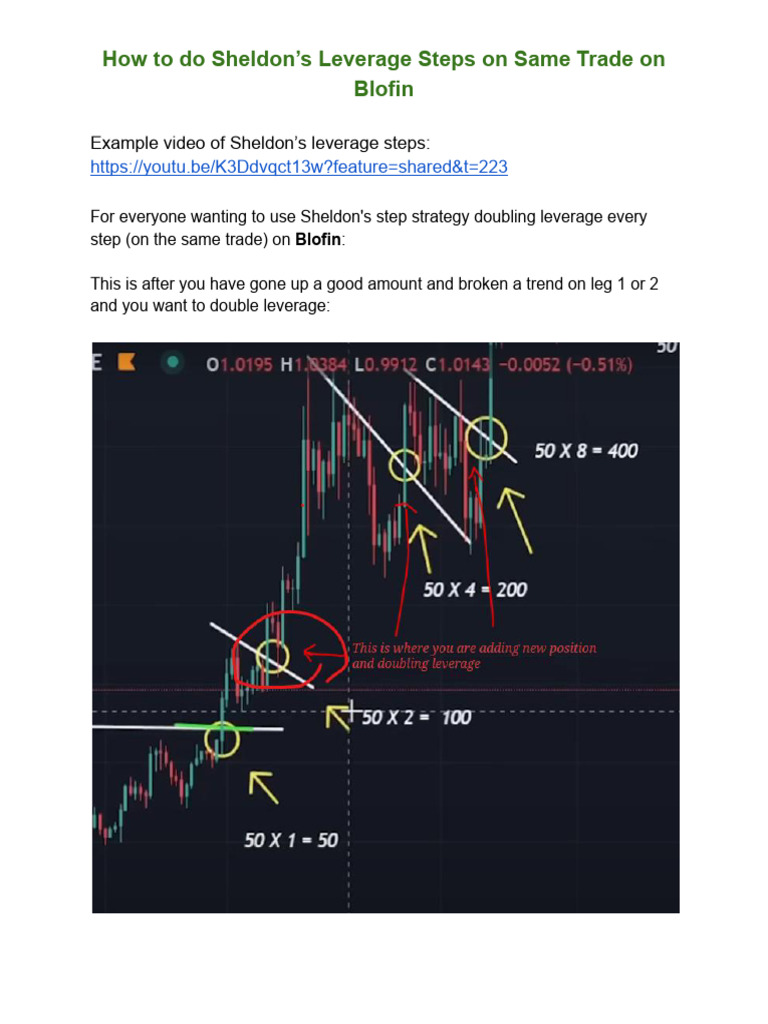 How To Do Sheldons Leverage Steps On Same Trade On Blofin | PDF