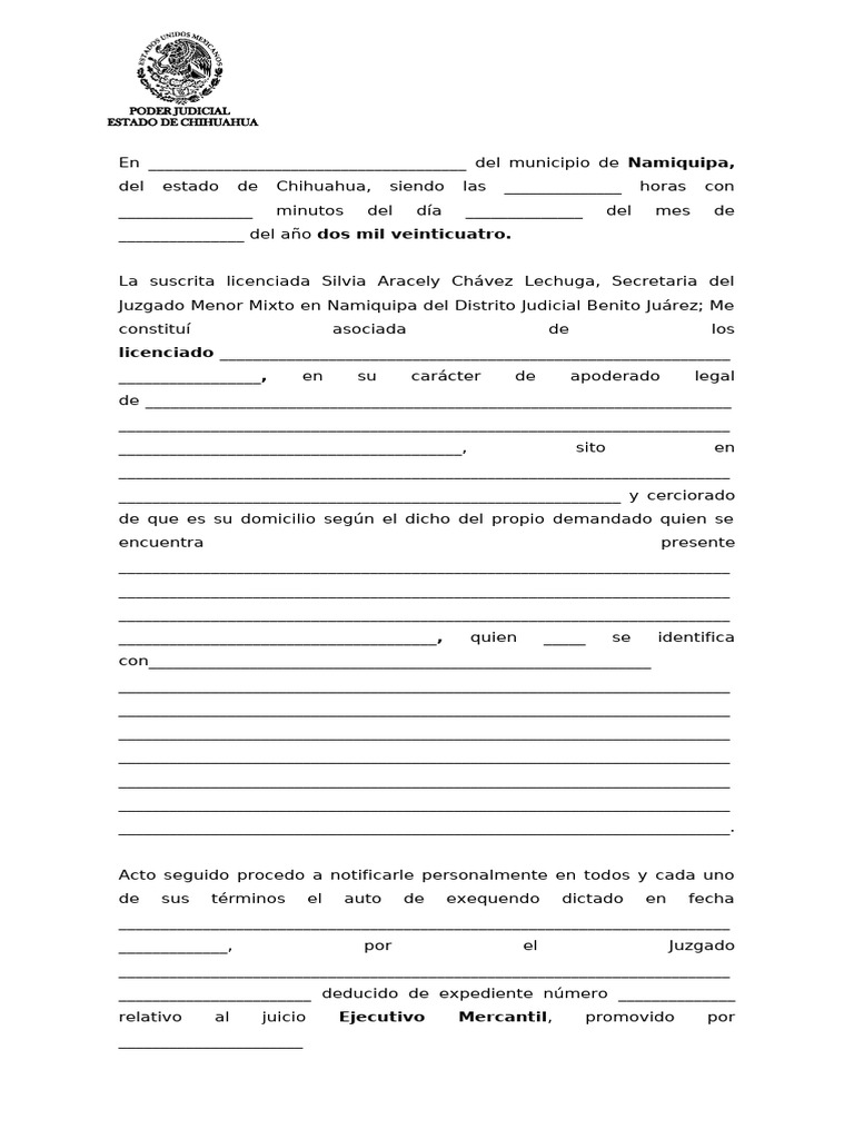 Machote Mercantil | PDF
